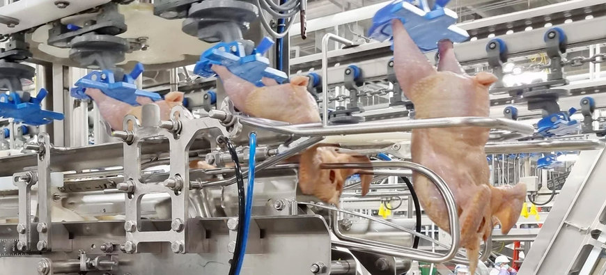 MAREL INTRODUCES CUT-UP TECHNOLOGY FOR ASIAN TASTES | Industry-Asia