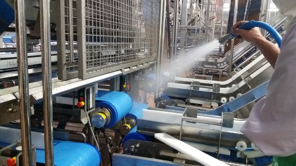 Asia’s leader in poultry meat processing trusts Interroll’s hygienic ...